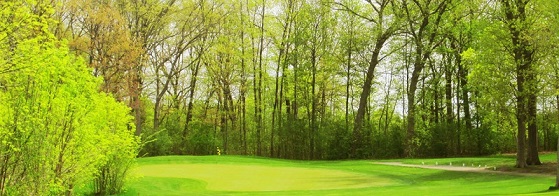 Junior Tour - Tanners Brook GC - Girls 13-15 Leaderboard | Minnesota PGA